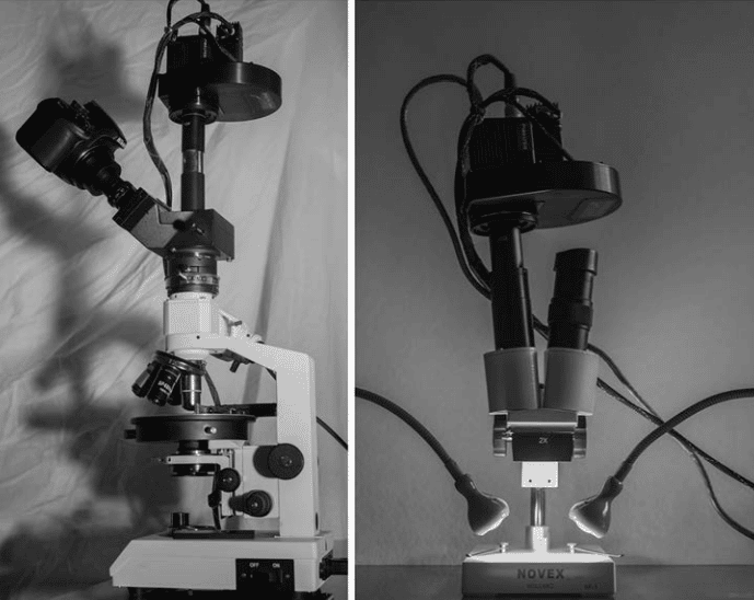 DOWNLOAD: Panoramic, Macro and Micro Multispectral Imaging - Cultural ...